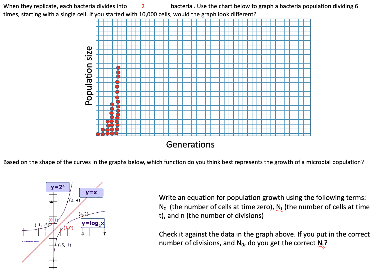 Solved When they replicate, each bacteria divides into 2 | Chegg.com
