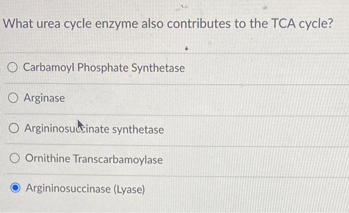 Solved What urea cycle enzyme also contributes to the TCA | Chegg.com