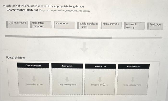 Solved Match each of the characteristics with the | Chegg.com