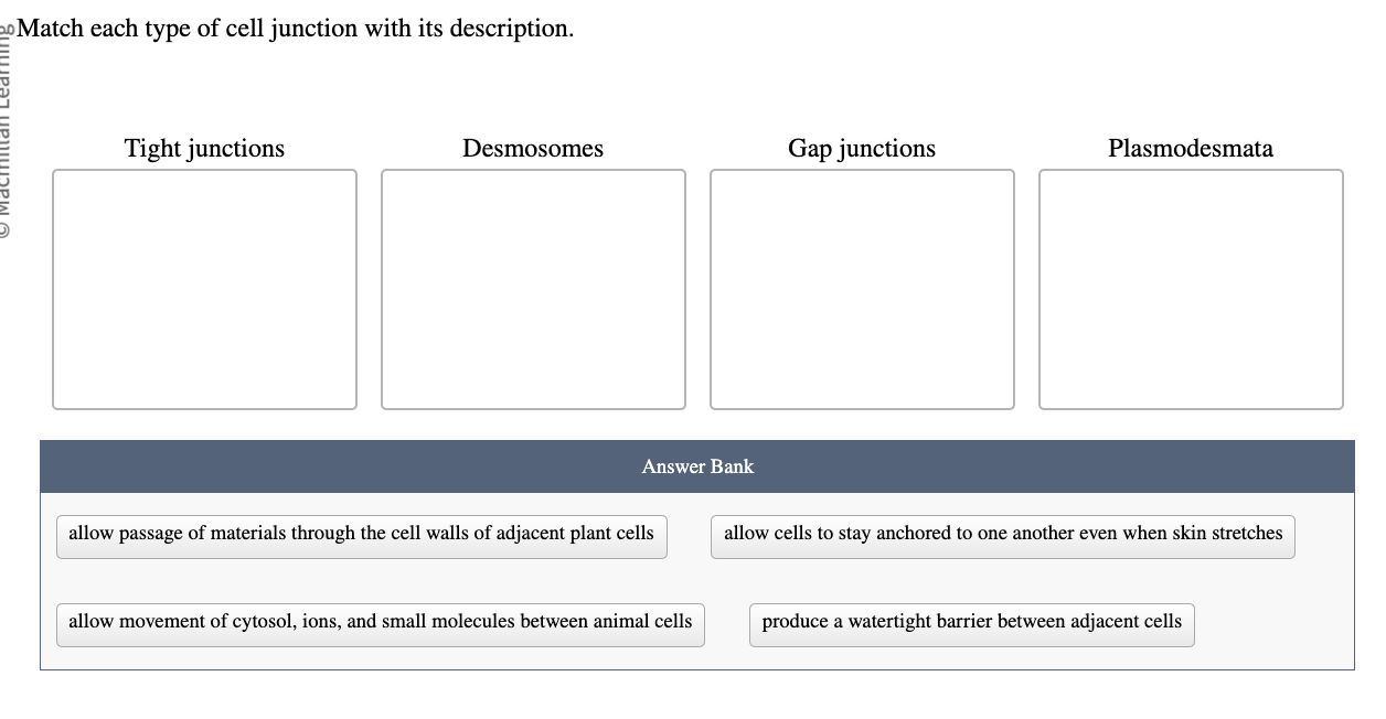 Solved Match each type of cell junction with its | Chegg.com