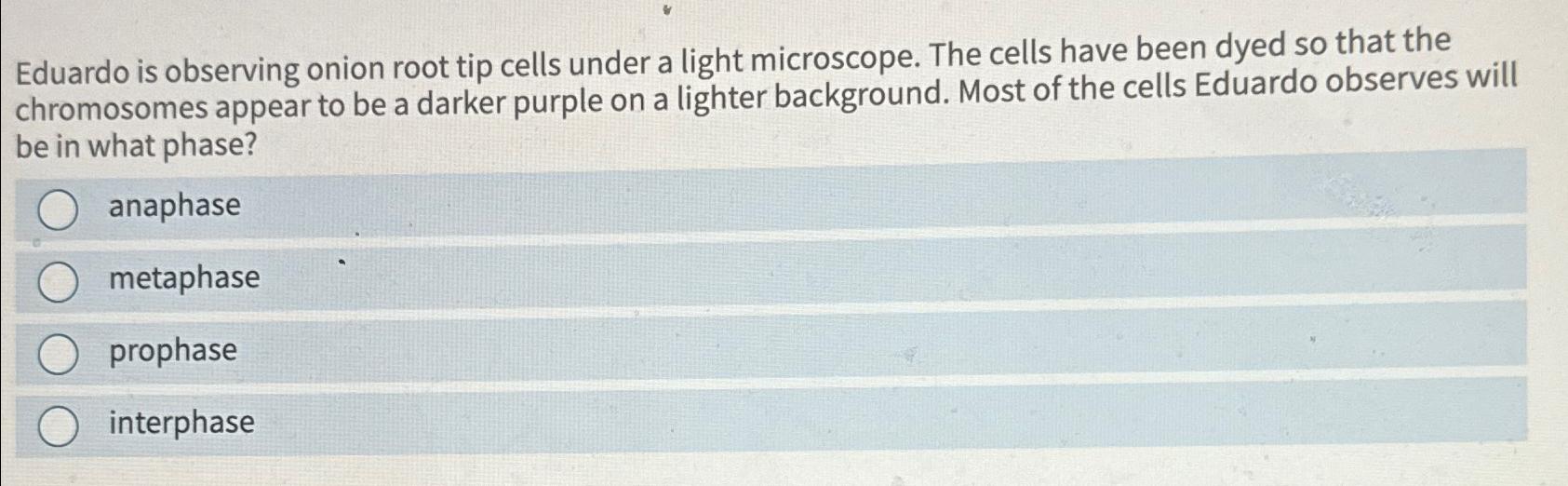Solved Eduardo is observing onion root tip cells under a | Chegg.com
