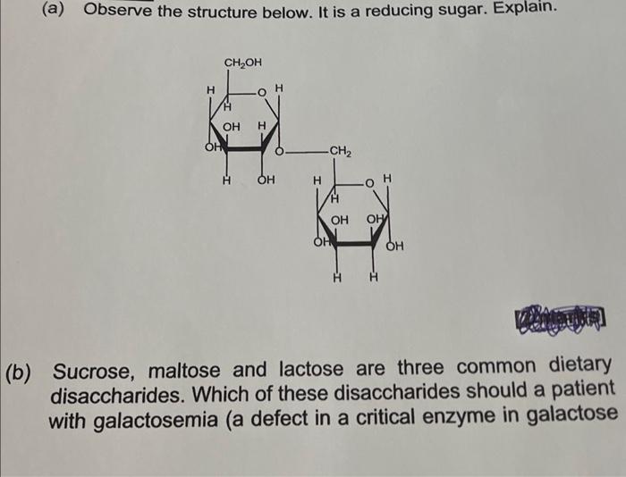 Solved (a) Observe the structure below. It is a reducing | Chegg.com