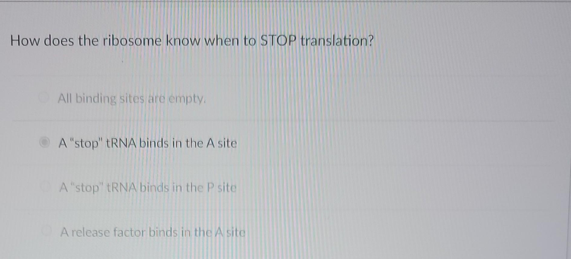 Solved How does the ribosome know when to STOP translation? | Chegg.com