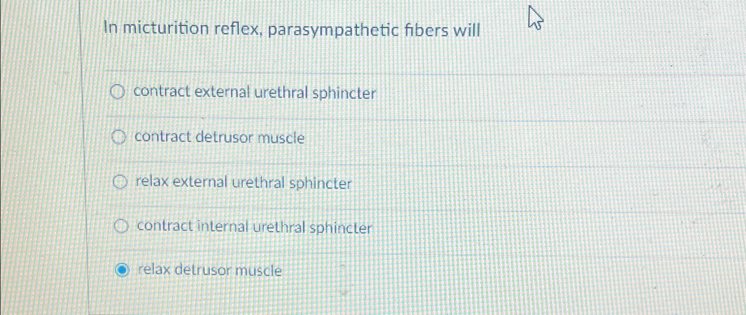 Solved In micturition reflex, parasympathetic fibers | Chegg.com