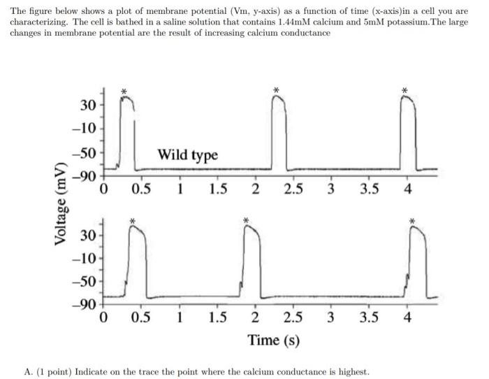Solved The figure below shows a plot of membrane potential | Chegg.com