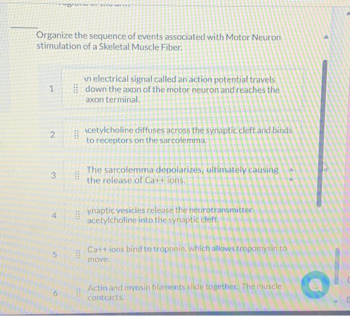 Solved Organize the sequence of events associated with Motor | Chegg.com