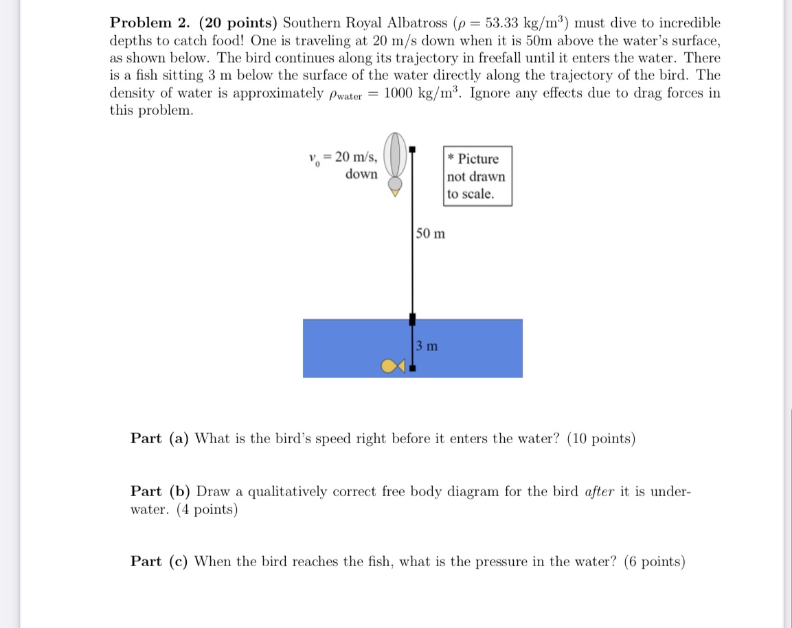 Solved Problem 2. (20 ﻿points) ﻿Southern Royal Albatross | Chegg.com