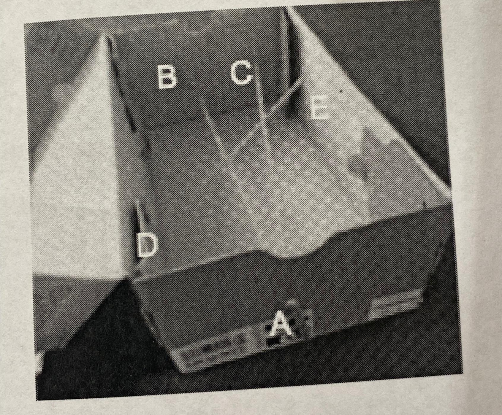 Solved if vector AB ﻿is made by the points A(10,10,0) ﻿and | Chegg.com