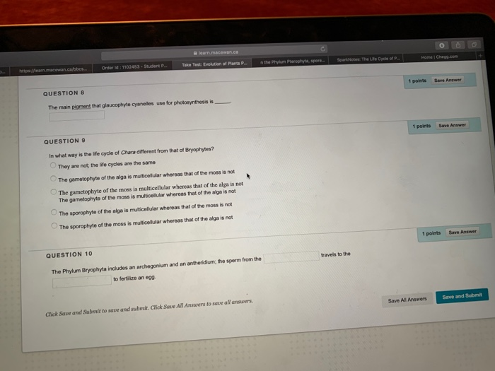 Solved https/feam.macewan.ca/bbes.. nt Ho. Order | Chegg.com