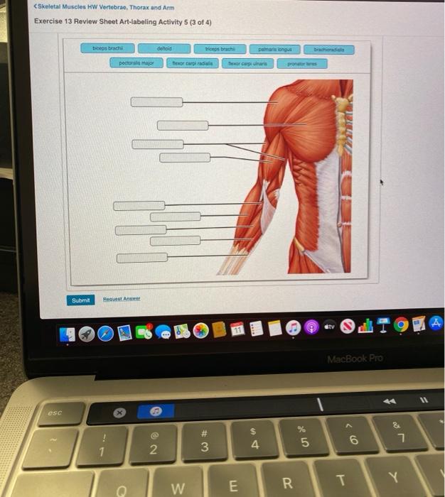 Solved Question | Chegg.com