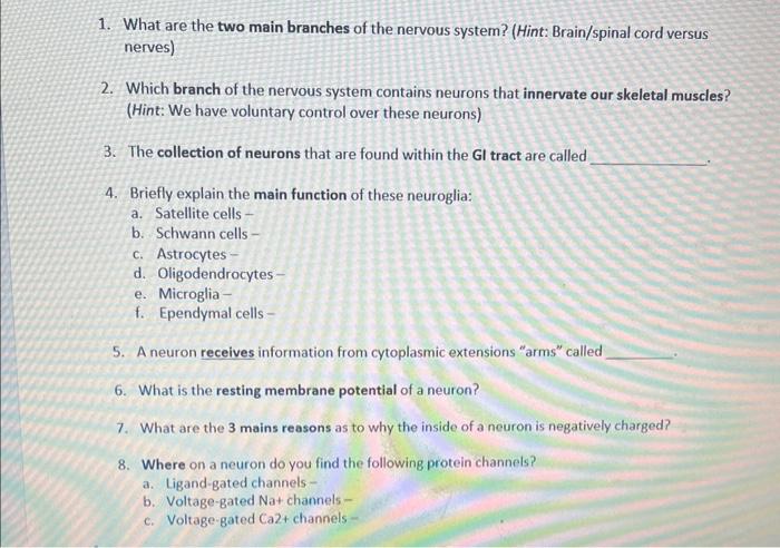 Solved 1. What are the two main branches of the nervous | Chegg.com