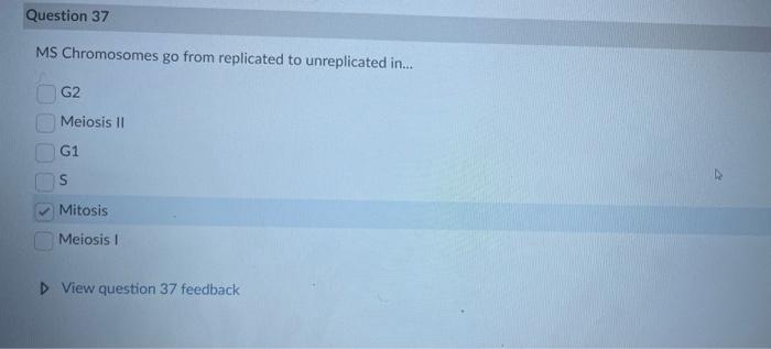 Solved MS Chromosomes go from replicated to unreplicated | Chegg.com