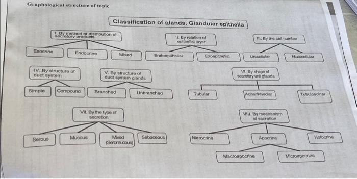 Solved AIM: To know microscopic and submicroscopic structure | Chegg.com