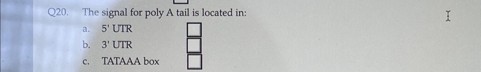 Solved Q20. ﻿The signal for poly A tail is located in:a. 5' | Chegg.com