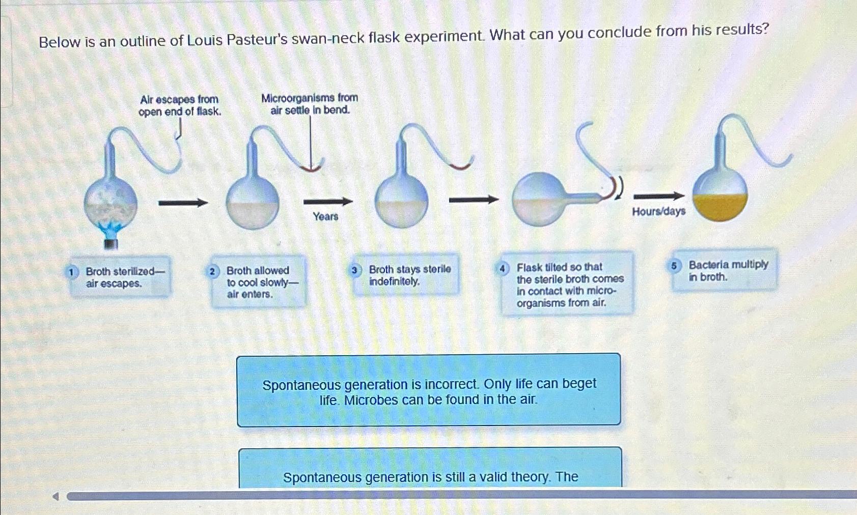 Below is an outline of Louis Pasteur's swan-neck | Chegg.com