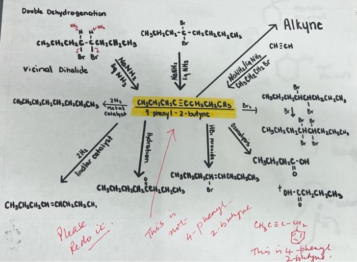 Solved This is 4 -phenye Double Dehydrogenation | Chegg.com