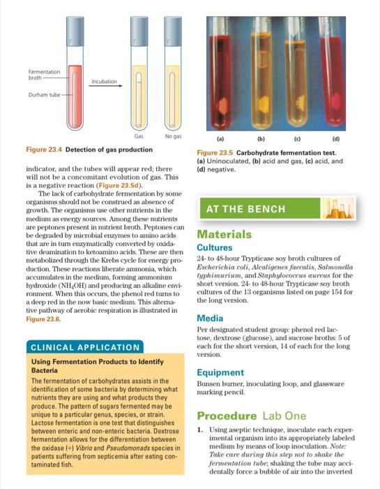Observations and Results Lactose Observation (color | Chegg.com