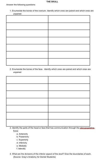 Solved THE SKULL Answer the following questions: 1. | Chegg.com