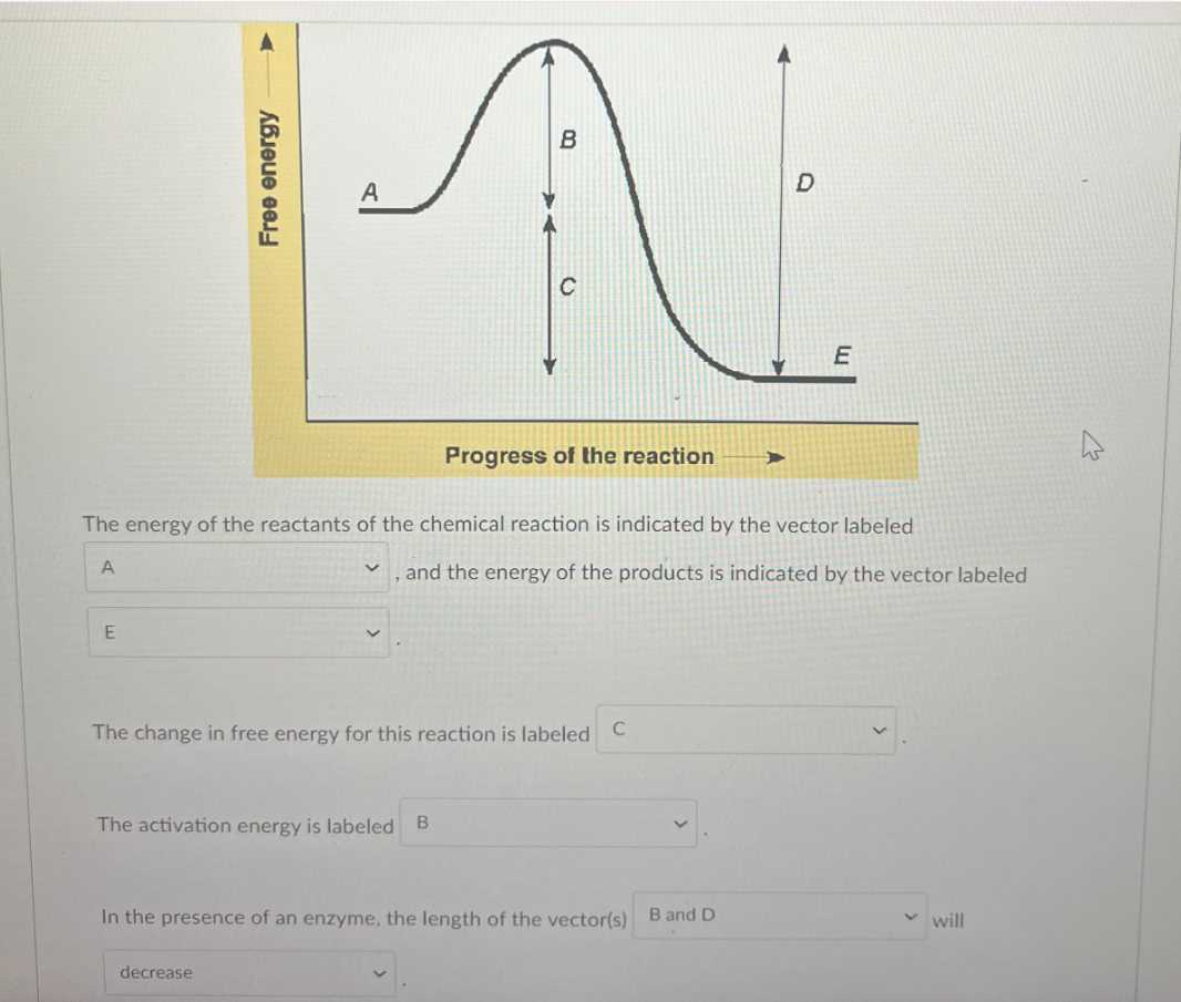 Solved Progress of the reactionThe energy of the reactants | Chegg.com