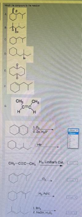 Solved Match the top part to the bottom part please | Chegg.com
