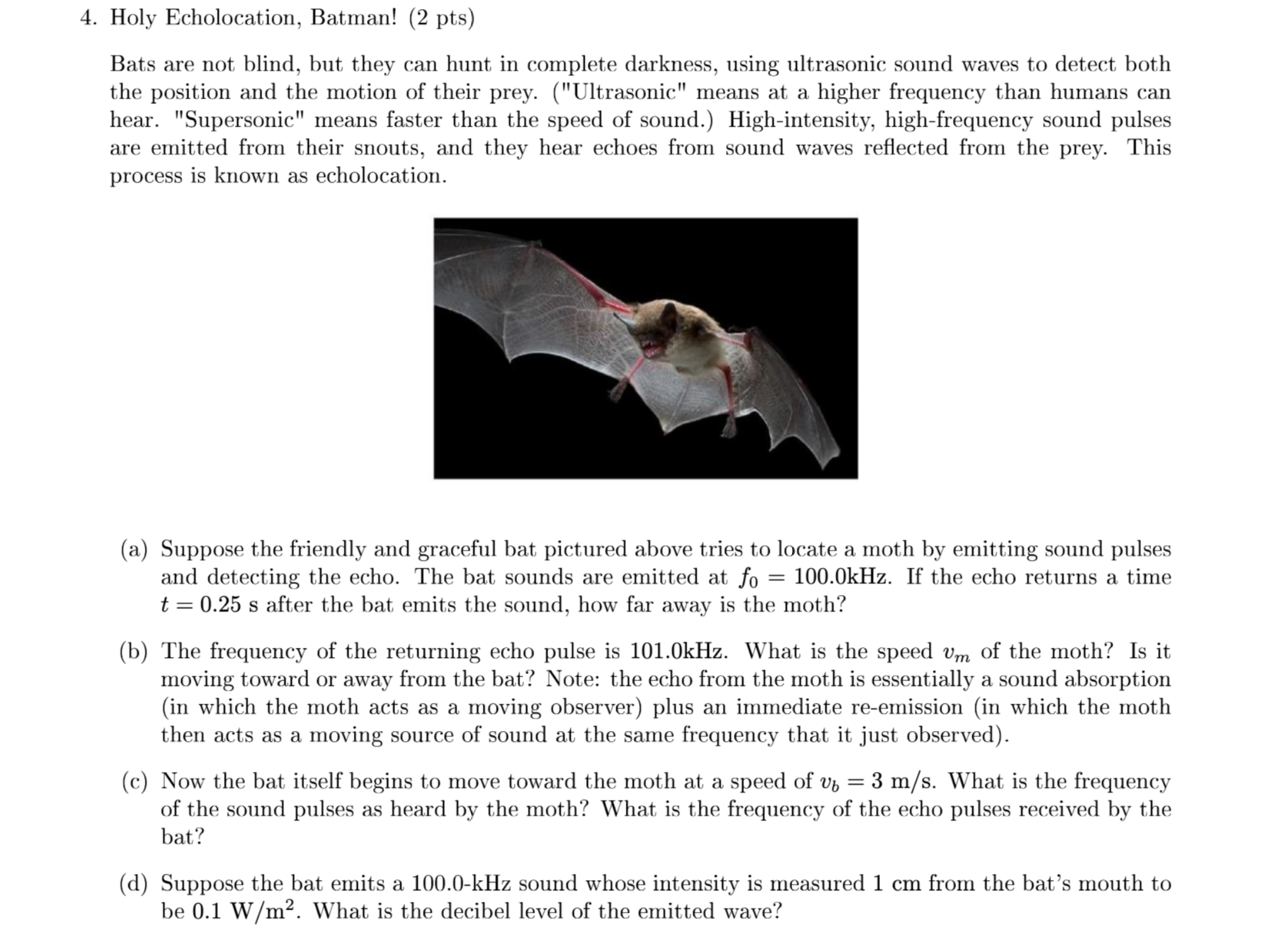 Solved Holy Echolocation, Batman! (2 ﻿pts)Bats are not | Chegg.com