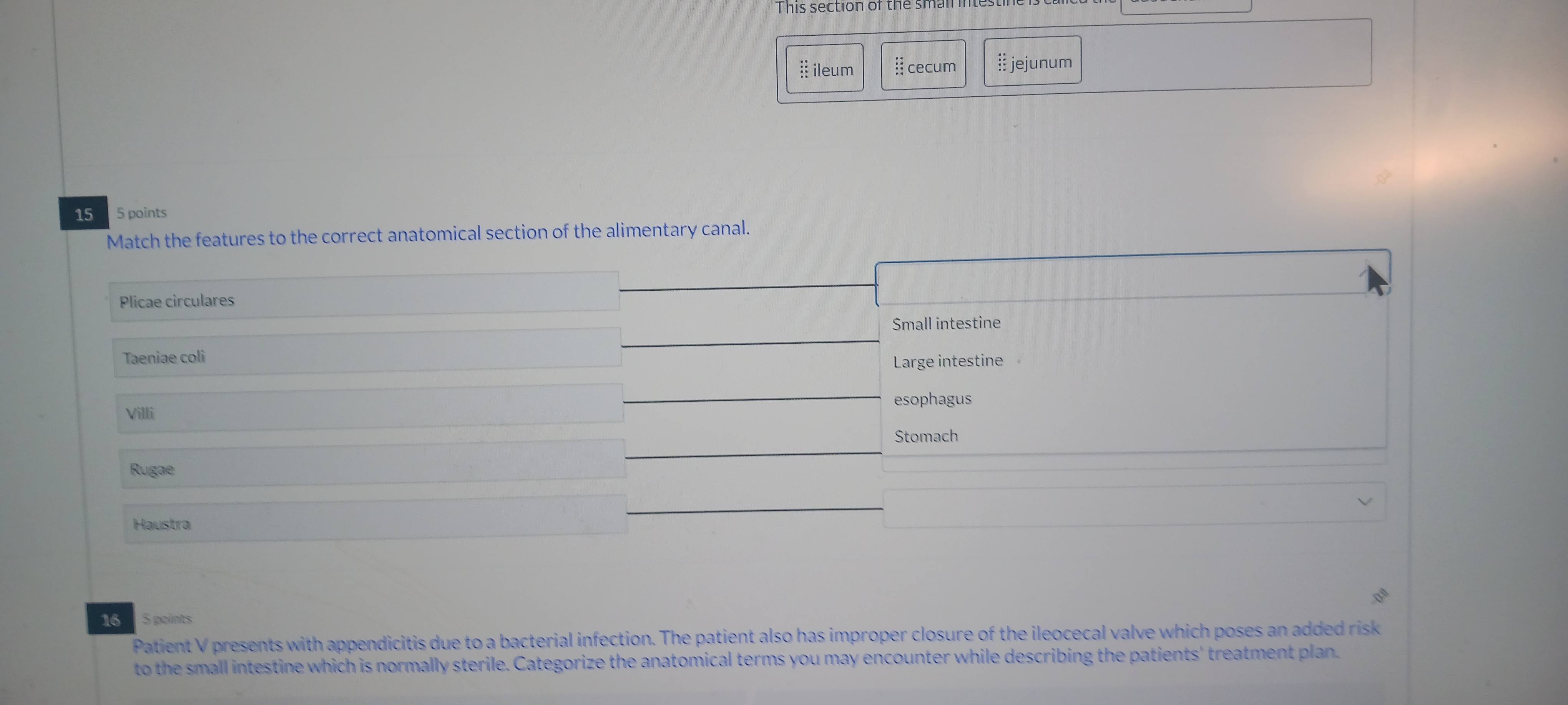 Solved 155 ﻿pointsMatch the features to the correct | Chegg.com