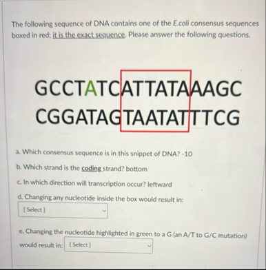 Solved The following sequence of DNA contains one of the | Chegg.com