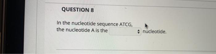 Solved in the nucleotide sequence ATCG, the nucleotide A is | Chegg.com