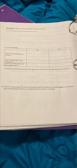 www Type of one on the an der the sche Can your | Chegg.com