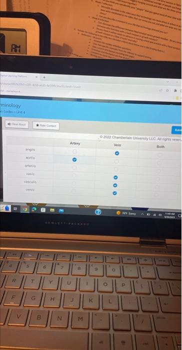 edapt.ai Learning Platform e ( Mail mariachiazok... | Chegg.com