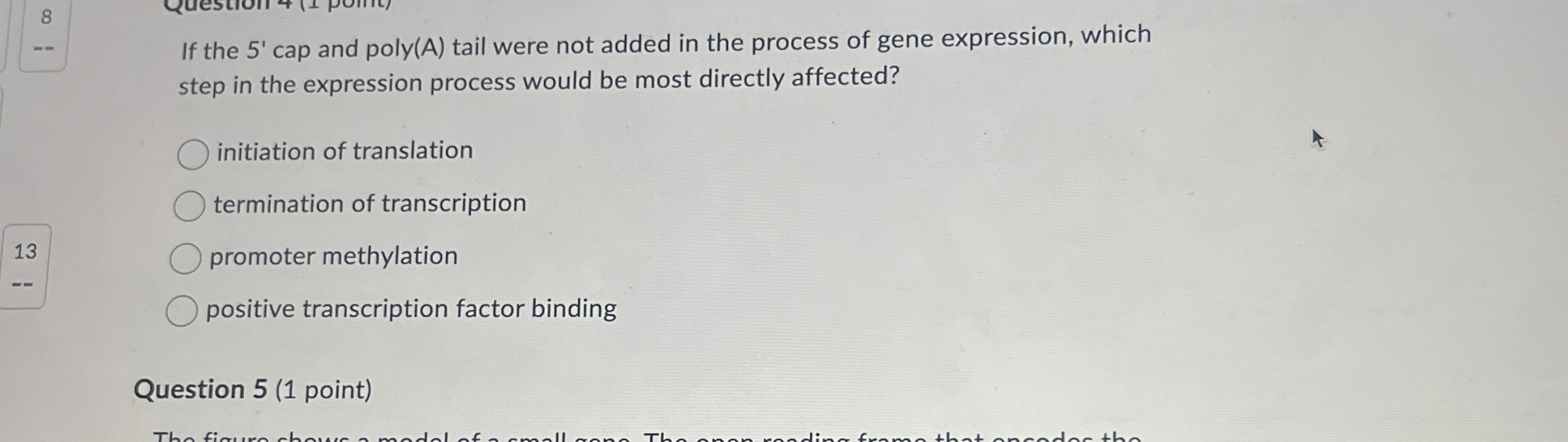 Solved If the 5' ﻿cap and poly (A) ﻿tail were not added in | Chegg.com