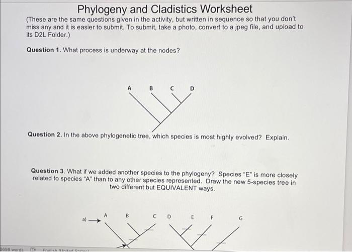 Solved Phylogeny and Cladistics Worksheet (These are the | Chegg.com