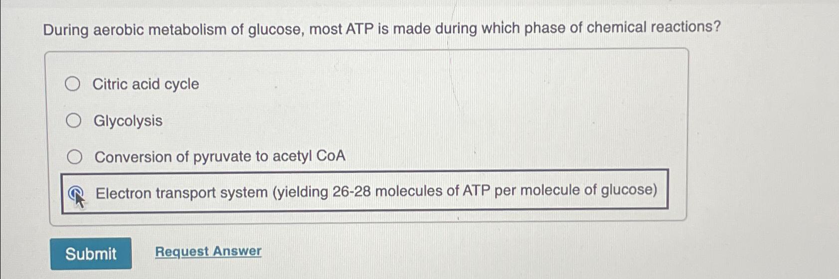 Solved During aerobic metabolism of glucose, most ATP is | Chegg.com