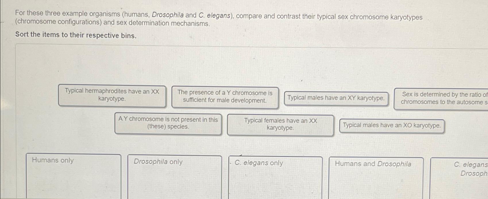 Solved For These Three Example Organisms Humans