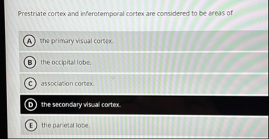 Solved Prestriate cortex and inferotemporal cortex are | Chegg.com