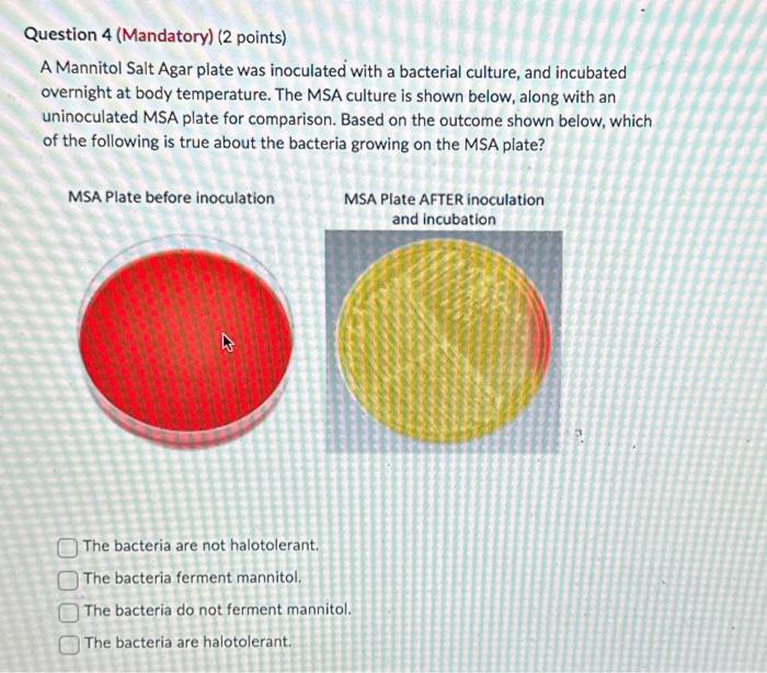 Solved Question 4 (Mandatory) ( 2 points) A Mannitol Salt | Chegg.com