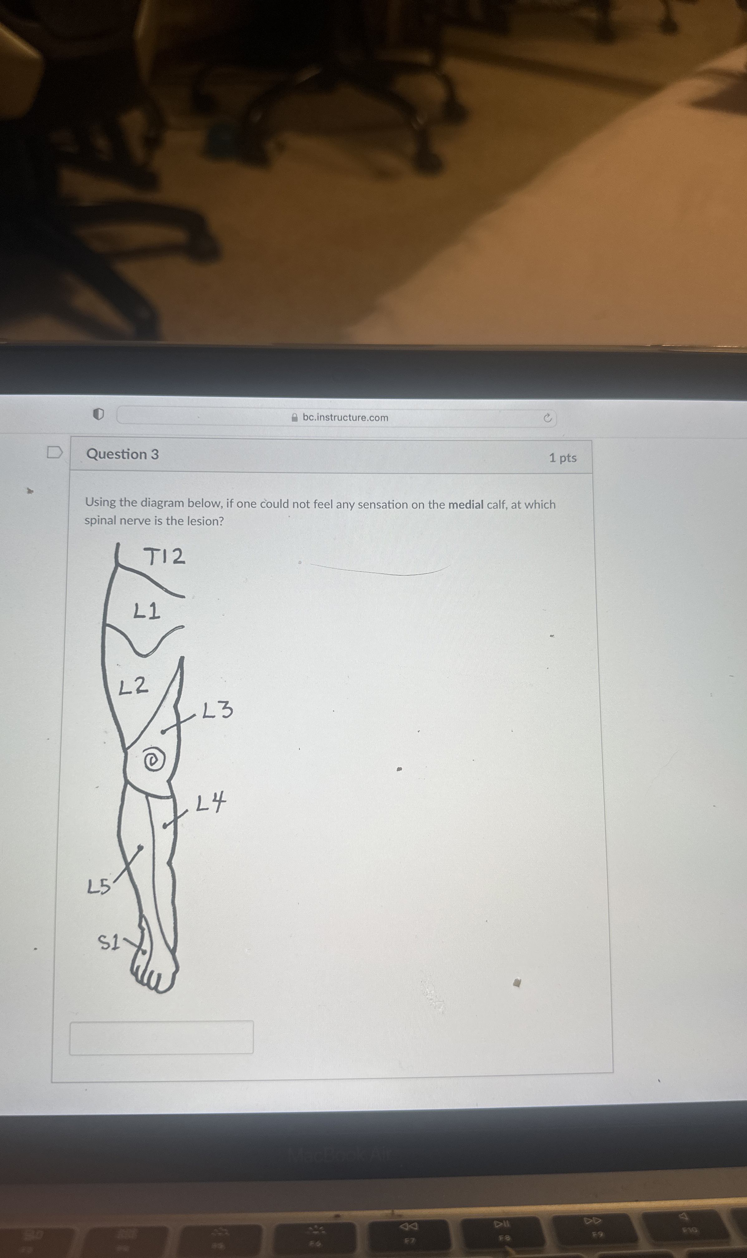 Solved (1) bc.instructure.comQuestion 31 ﻿ptsUsing the | Chegg.com