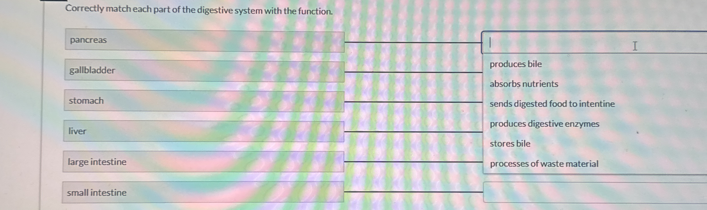 Solved Correctly match each part of the digestive system | Chegg.com