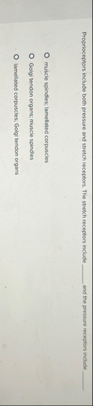 Solved Proprioceptors include both pressure and stretch | Chegg.com