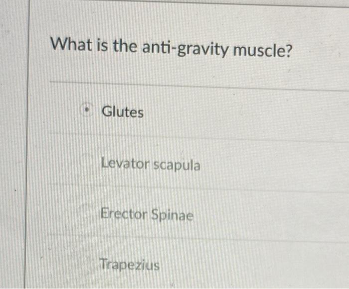 Solved What is the anti-gravity muscle? Glutes Levator | Chegg.com