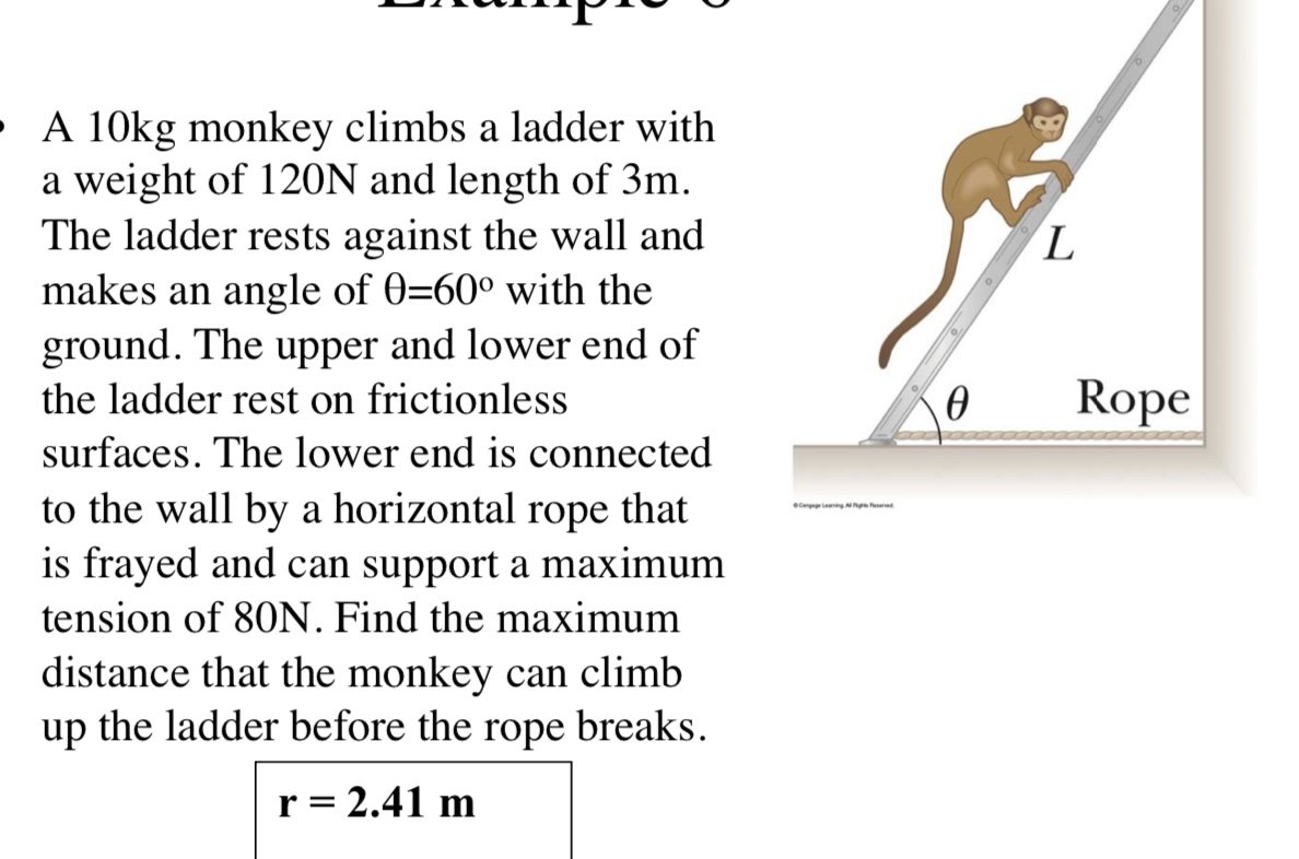 Solved A 10kg ﻿monkey climbs a ladder with a weight of 120N | Chegg.com