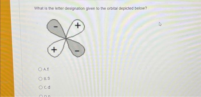 Solved What is the letter designation given to the orbital | Chegg.com