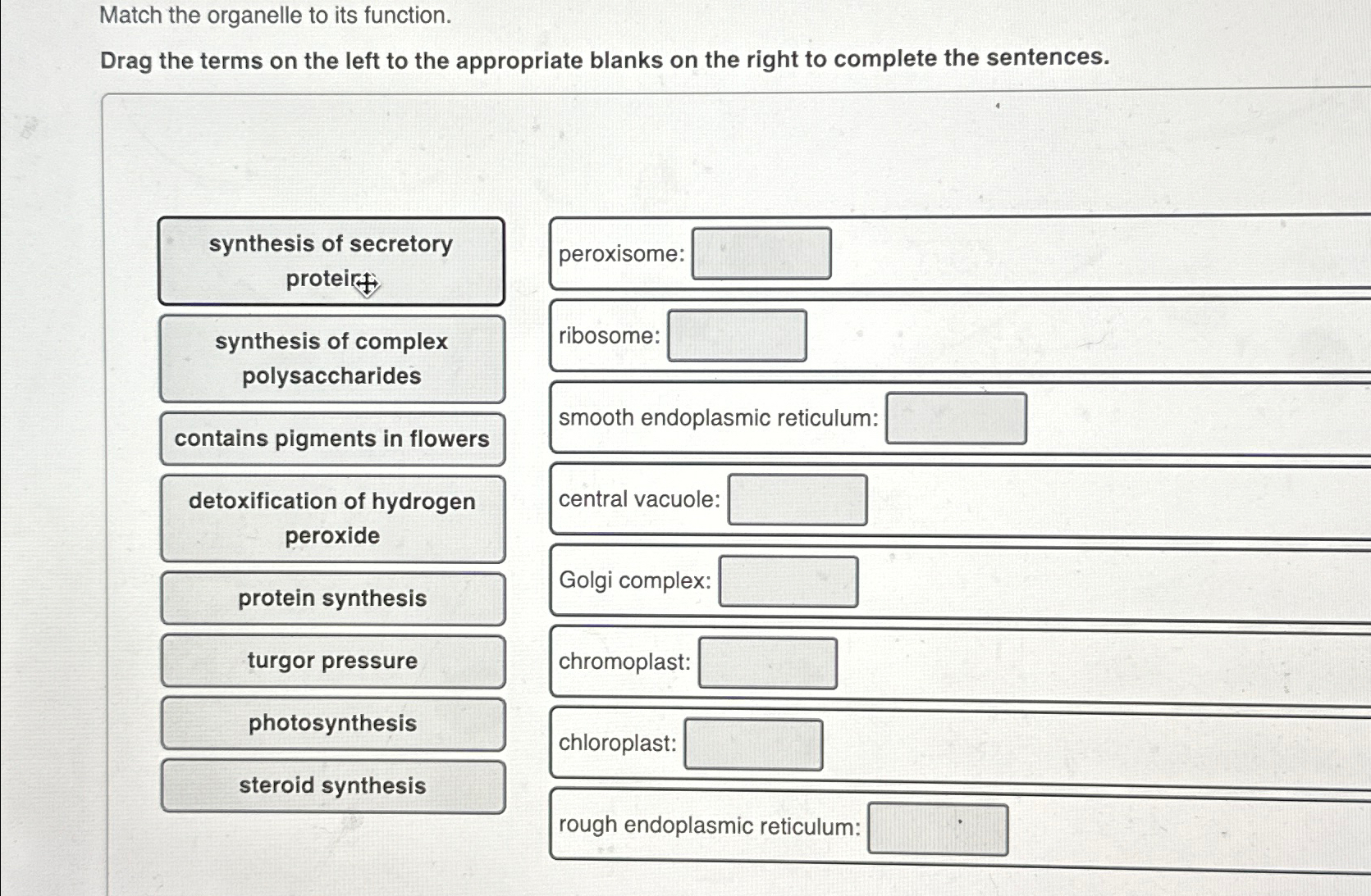 Solved Match the organelle to its function.Drag the terms on | Chegg.com