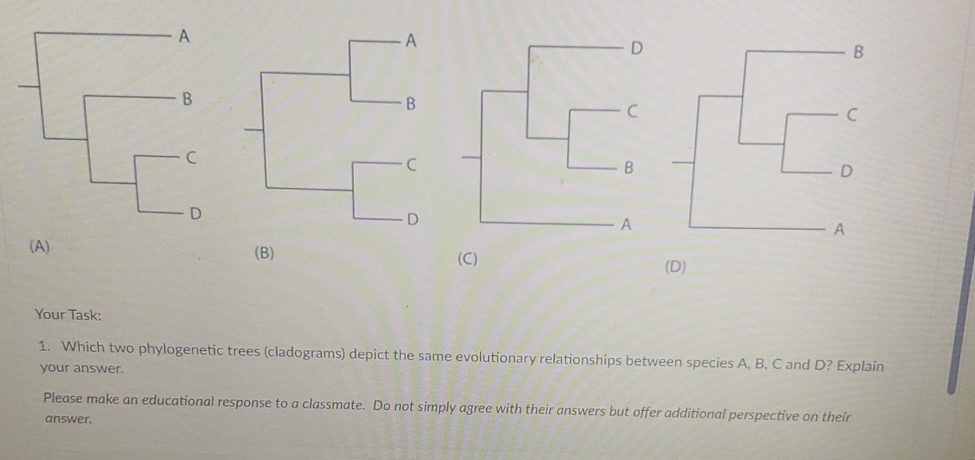 Solved (A) (B) (C) (D) Your Task: 1. Which two phylogenetic | Chegg.com