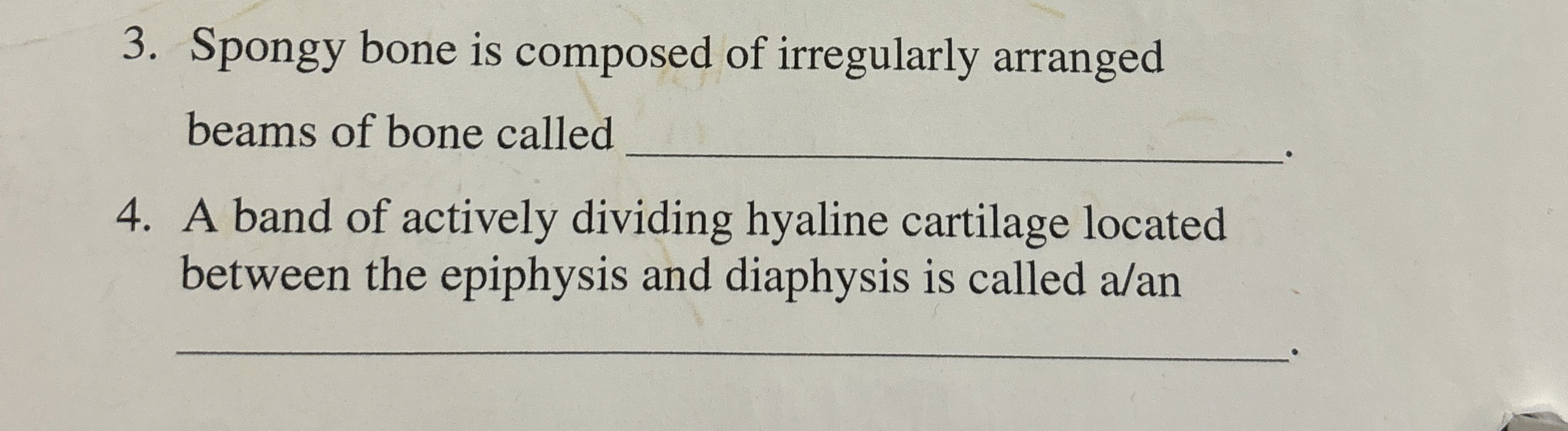 Solved Spongy bone is composed of irregularly arranged beams | Chegg.com
