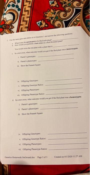 Solved iv. Show the Fl→F2 cross Punnctt Square 1. F2 | Chegg.com