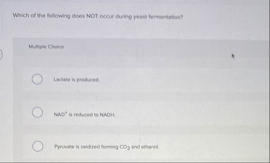 Solved Which of the following does NOT occur during yeast | Chegg.com
