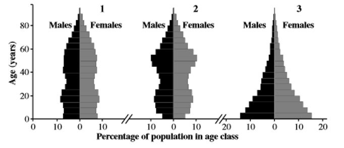 Solved Typical Age-Structure DiagramsTypical Age-Structure | Chegg.com