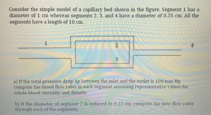 Solved Consider the simple model of a capillary bed shown in | Chegg.com