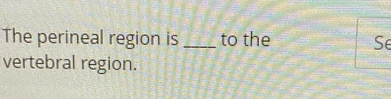 Solved The perineal region is _ ﻿to the vertebral region. | Chegg.com
